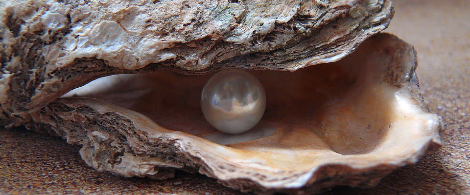 ¿Que es una perla? | Perlas de Barcelona